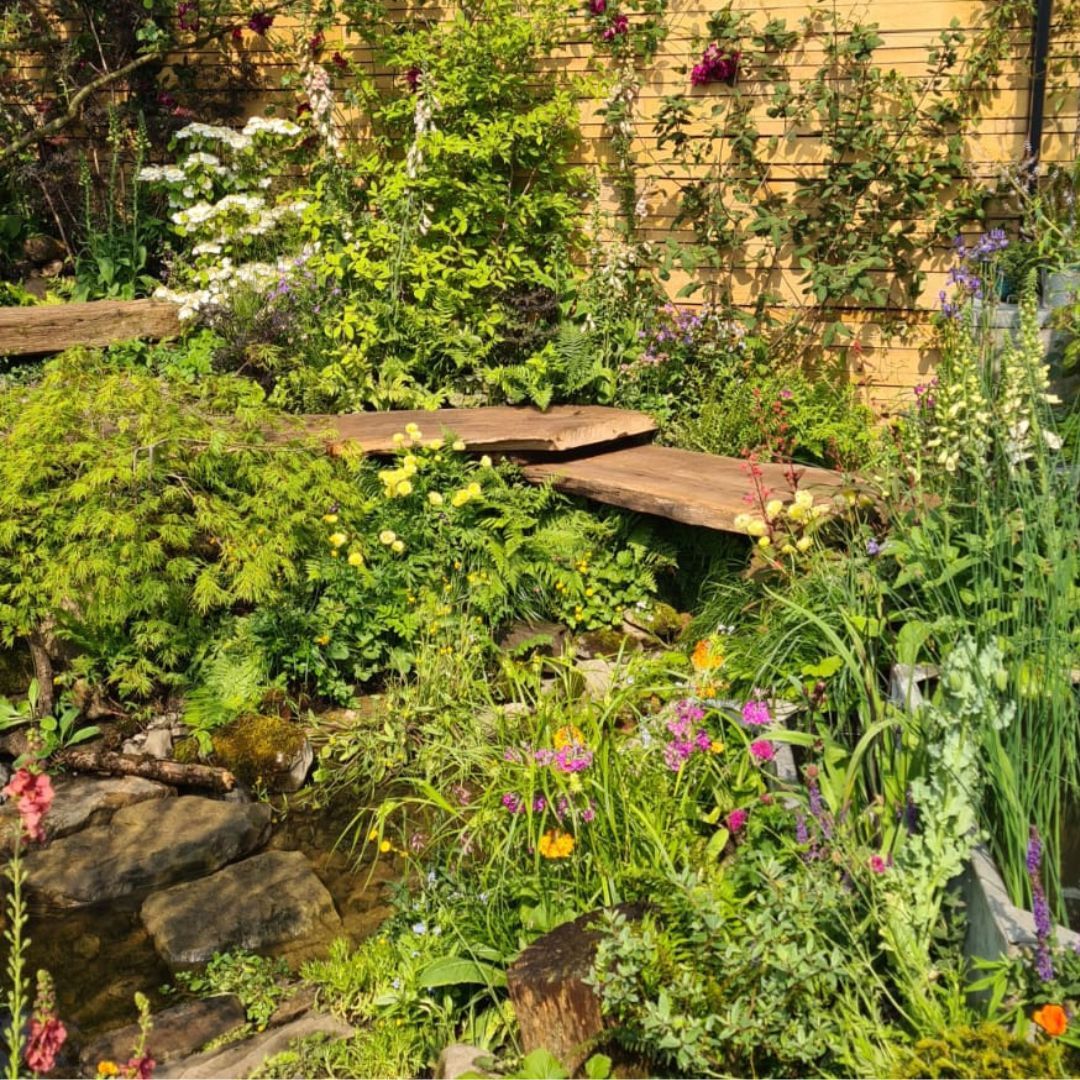 Flood Resilient Planting - Chelsea Plants 2024 – Plants for Ponds