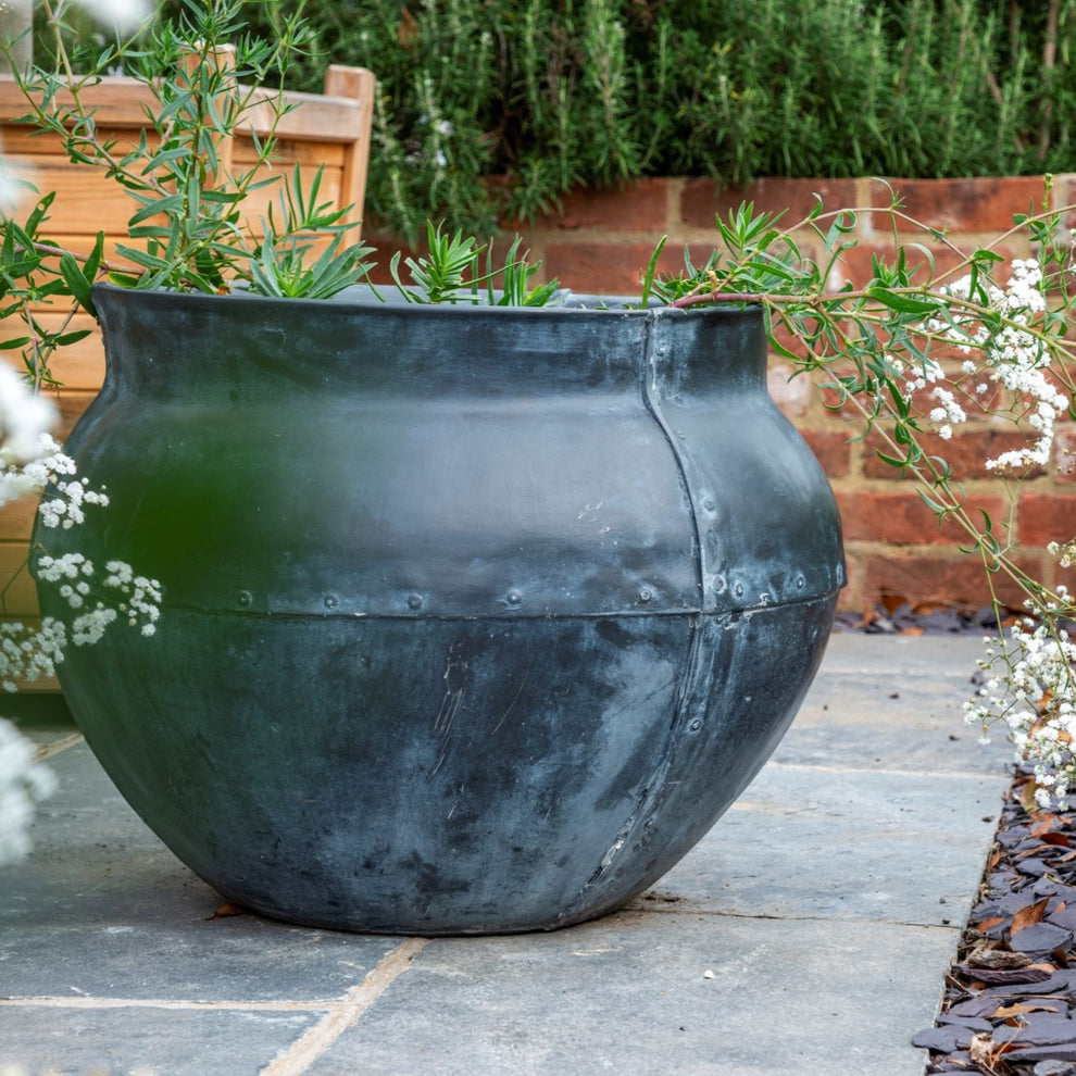 Bell Jar – Plants for Ponds