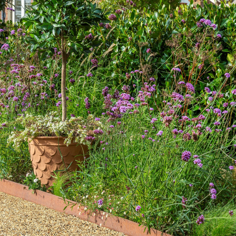 Fishscale Planter – Plants for Ponds