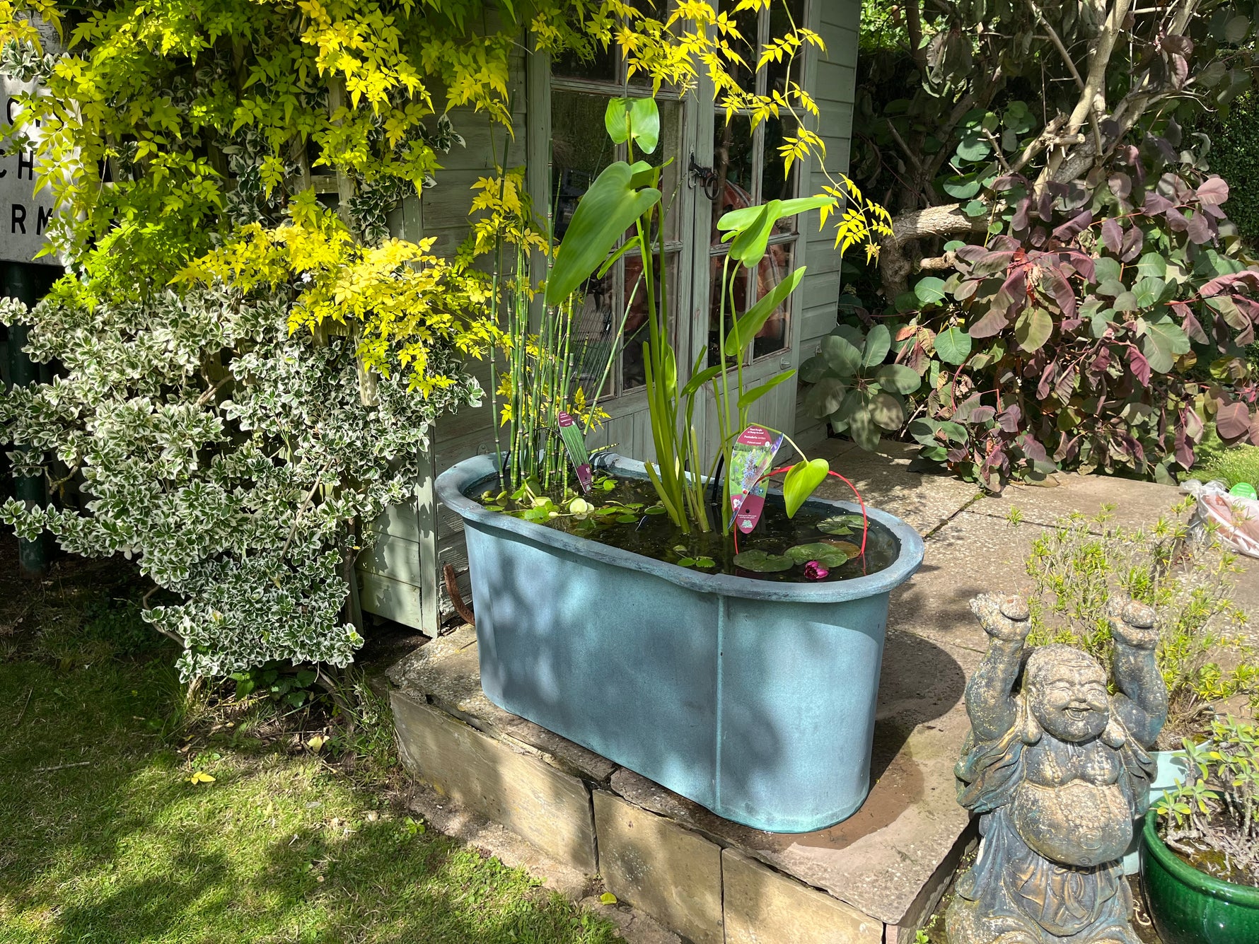 Planting a Container Pond – Plants for Ponds