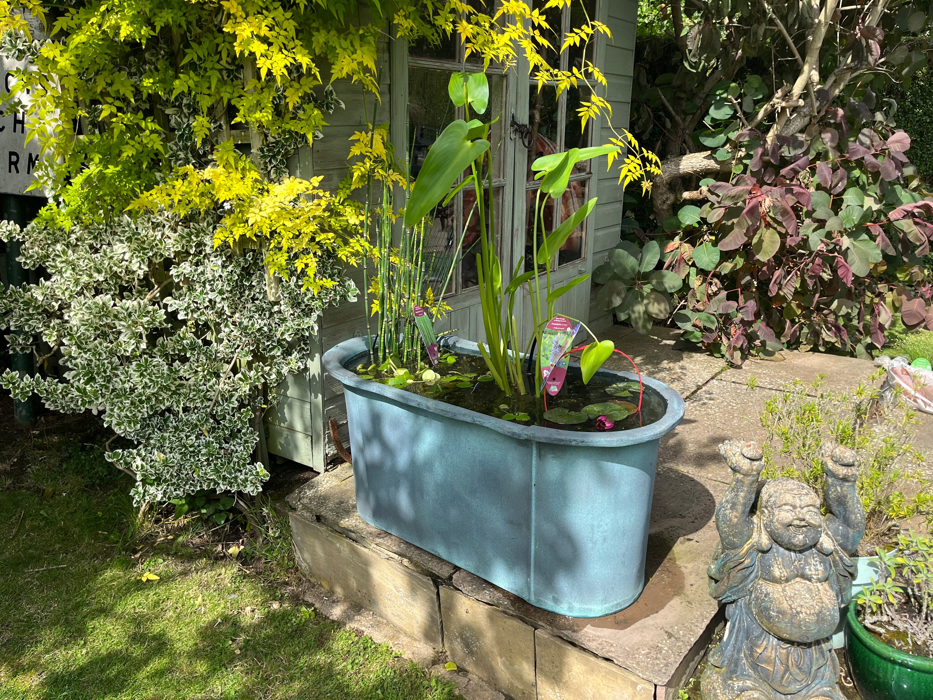 Planting a Container Pond – Plants for Ponds