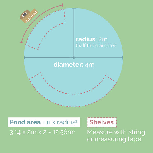 How to Measure Your Pond – Plants for Ponds
