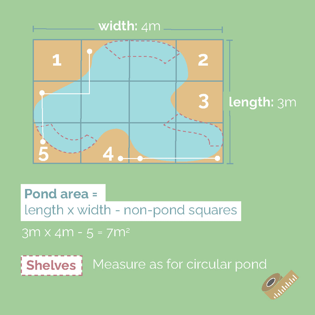 How to Measure Your Pond – Plants for Ponds