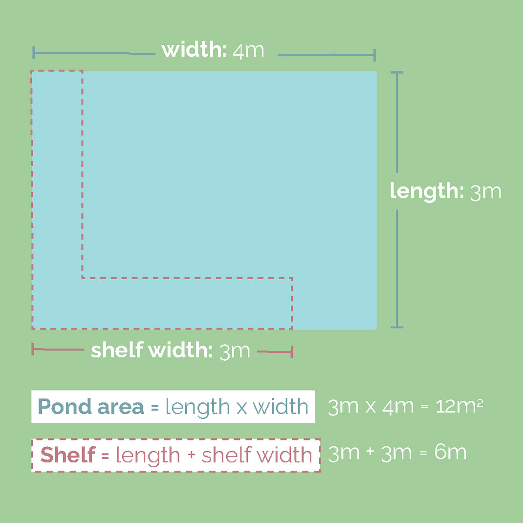 How to Measure Your Pond – Plants for Ponds