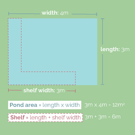 How to Measure Your Pond – Plants for Ponds