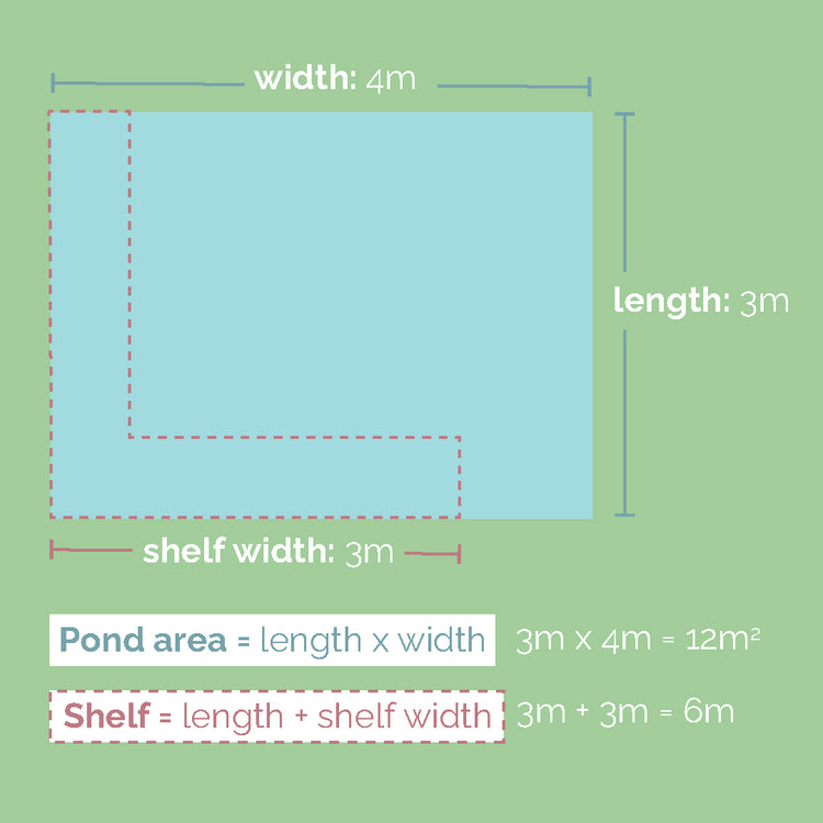 How to Measure Your Pond – Plants for Ponds
