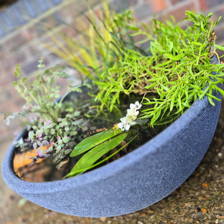Raised Ponds – Plants for Ponds