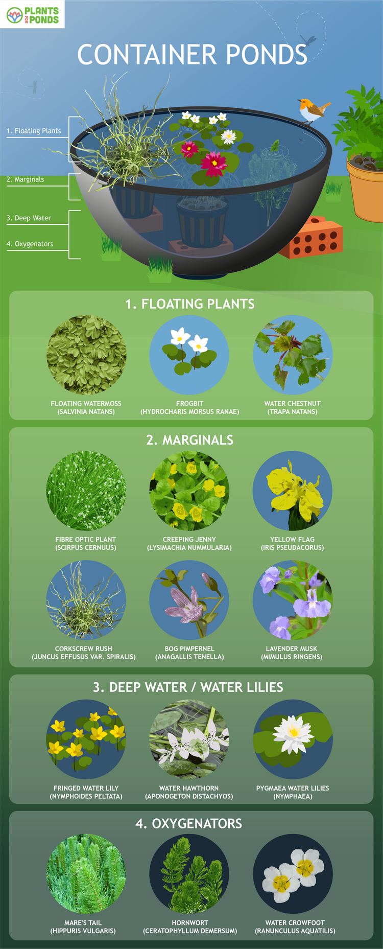 Planting a Container Pond – Plants for Ponds