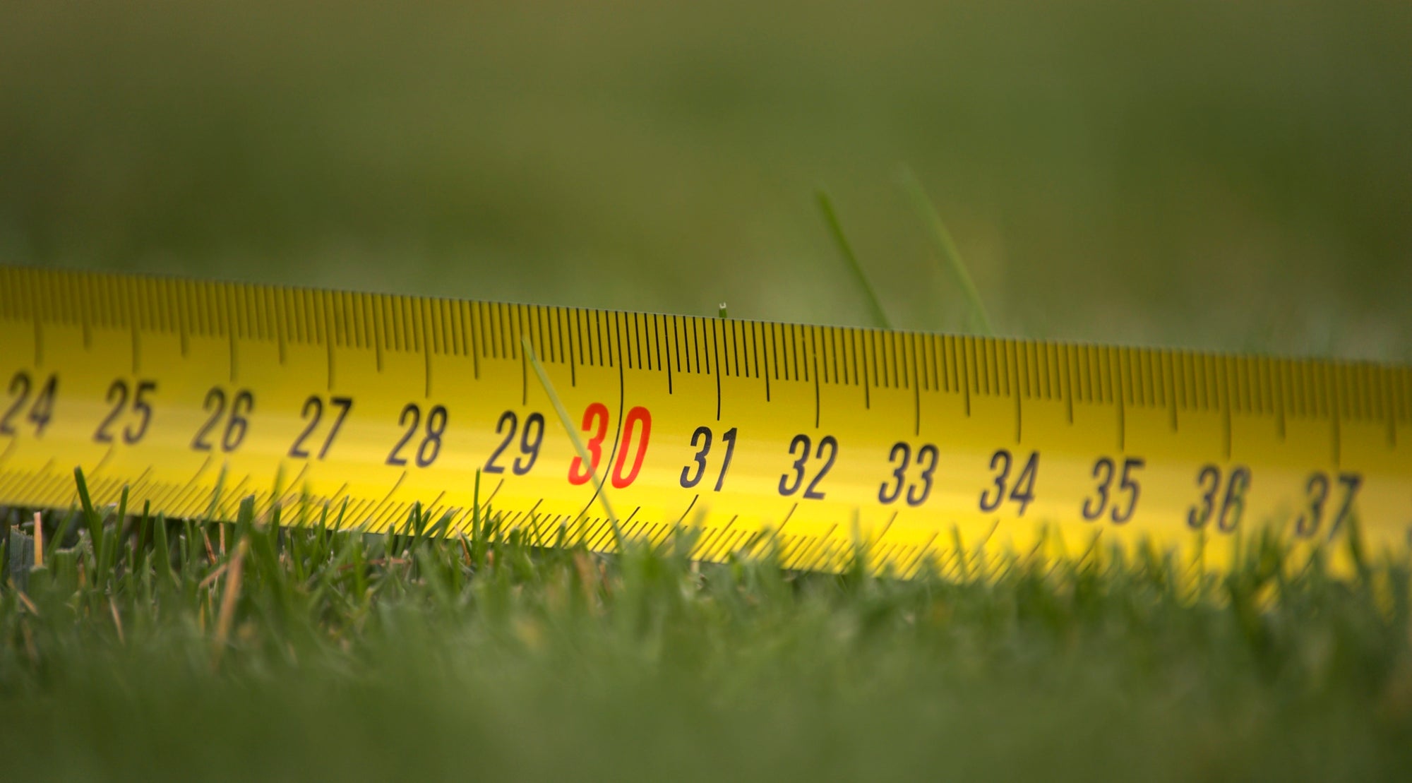 How to Measure Your Pond – Plants for Ponds